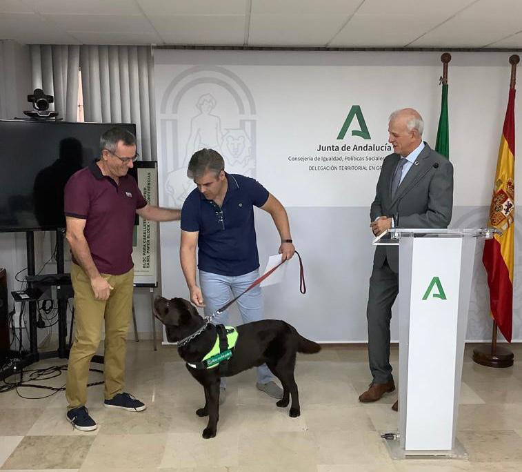 Reconocimiento oficial al primer perro de alerta médica de Andalucía ...